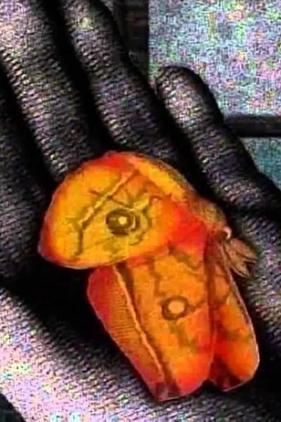 Watch A Place Where There Are Moths Anime English SUB/DUB - AnimeKAI