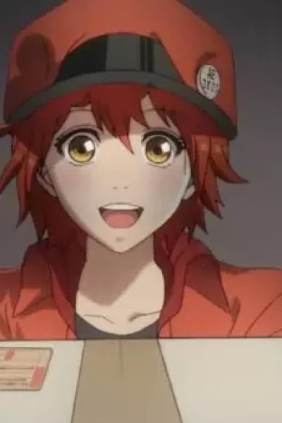 Watch Cells at Work! Anime English SUB/DUB - AnimeKAI